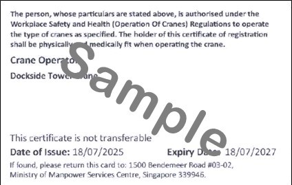 CP cards for WSH professionals and Competent Persons